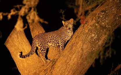 Lower Zambezi National Park – Travel Guide, Map & More!