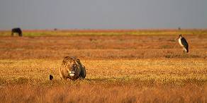Zambia Weather & Climate (+ Climate Chart)