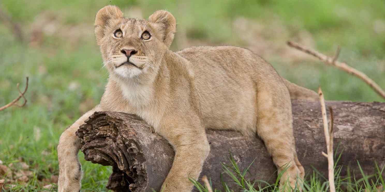 Kafue Map – Detailed Map of Kafue National Park