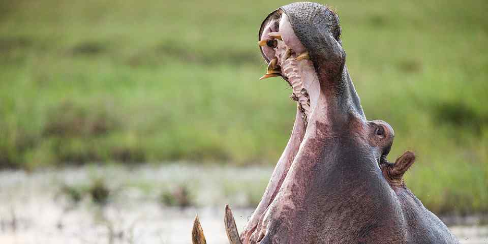 Kafue Map – Detailed Map of Kafue National Park