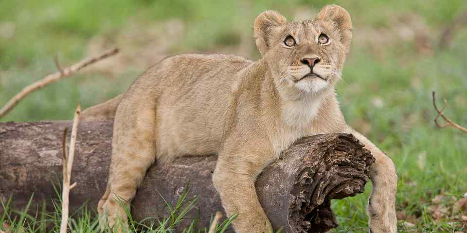 Kafue Map – Detailed map of Kafue National Park