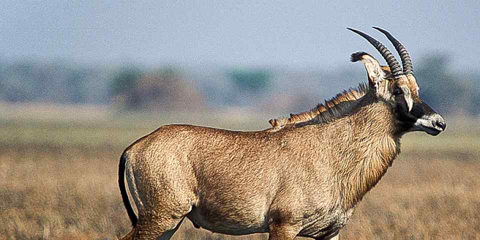 Mosi-Oa-Tunya Map – Detailed Map of Mosi-Oa-Tunya National Park