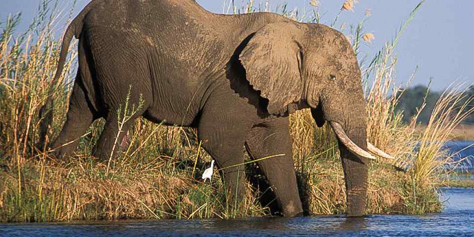 Lower Zambezi National Park – Travel Guide, Map & More!