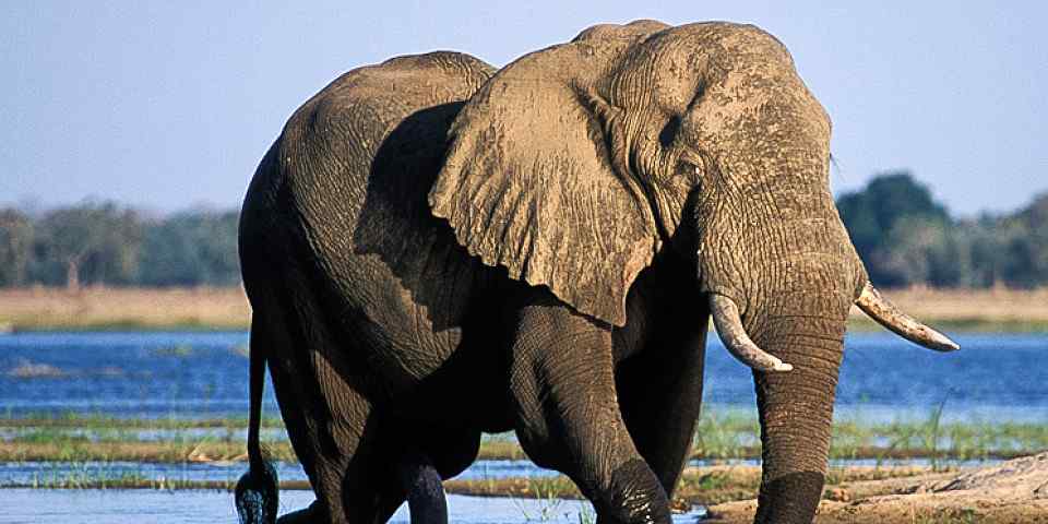 Lower Zambezi National Park – Travel Guide, Map & More!