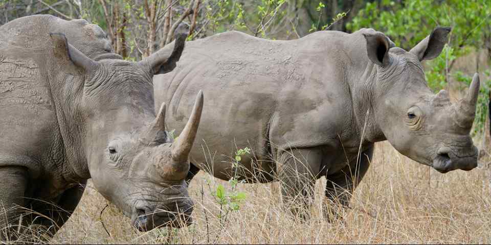 Mosi-oa-Tunya Map – Detailed map of Mosi-oa-Tunya National Park