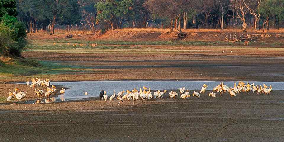 South Luangwa Map – Detailed Map of South Luangwa National Park