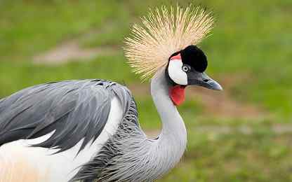 Hwange National Park – Travel Guide, Map & More!