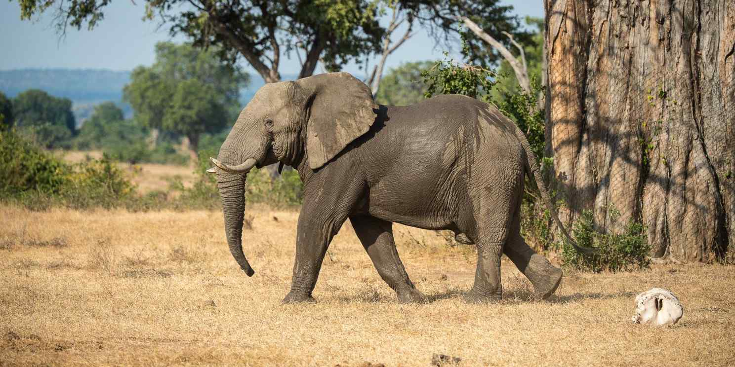 Gonarezhou Map – Detailed Map of Gonarezhou National Park