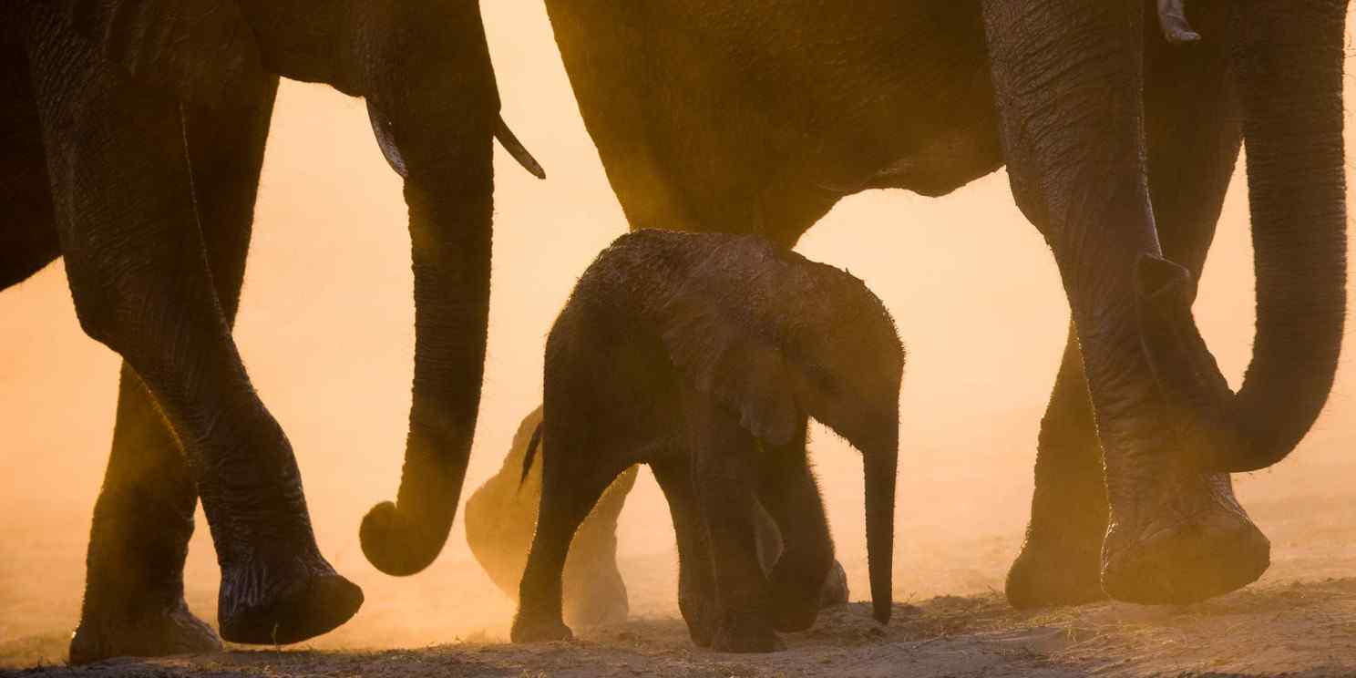 Hwange Map – Detailed Map of Hwange National Park