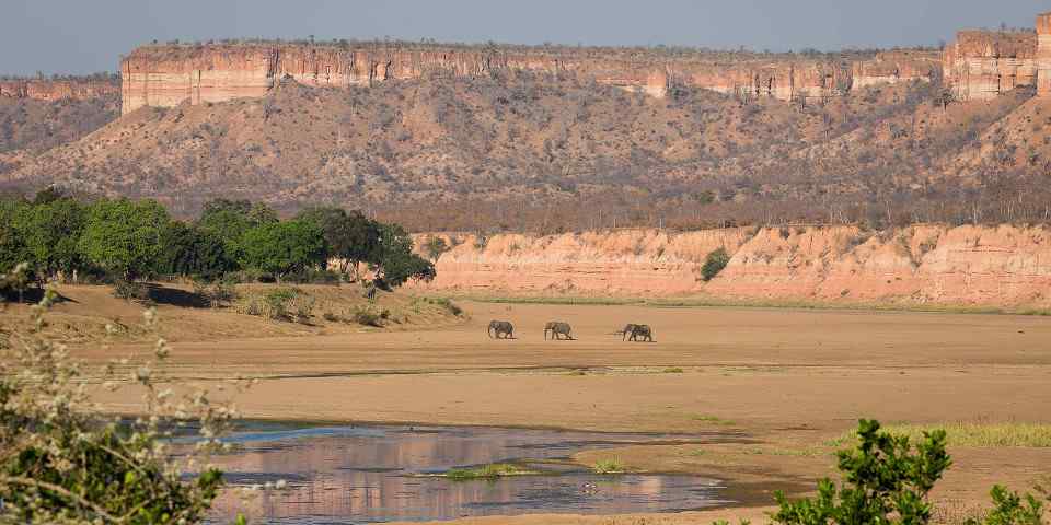 Gonarezhou National Park – Travel Guide, Map & More!