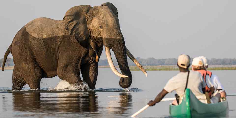 Mana Pools Map – Detailed Map of Mana Pools National Park