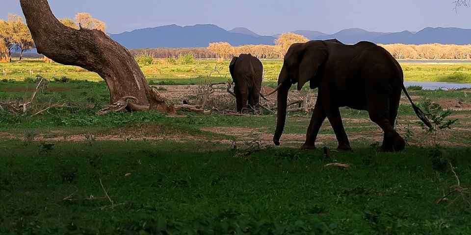 Matobo National Park – Travel Guide, Map & More!