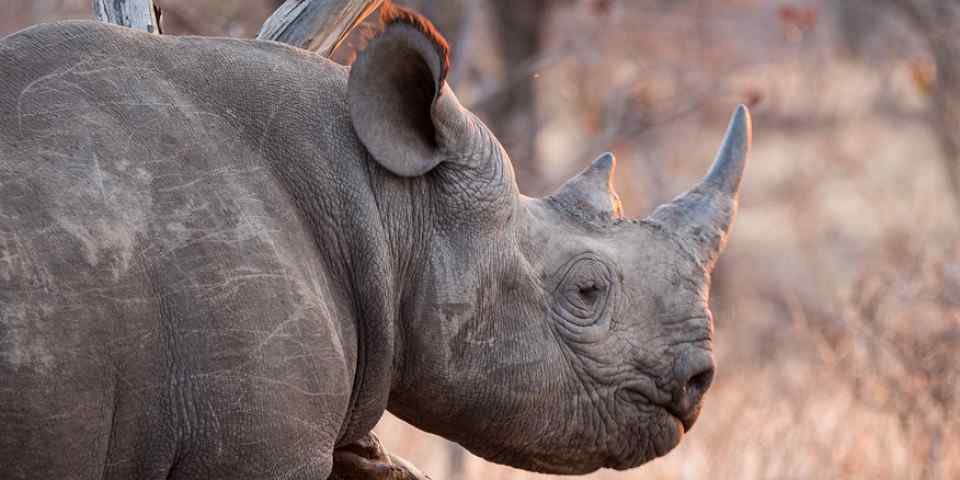 Mosi-Oa-Tunya Map – Detailed Map of Mosi-Oa-Tunya National Park