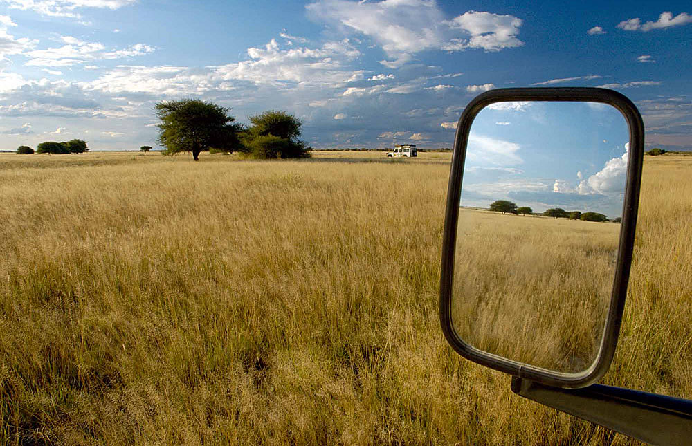 Central Kalahari Game Reserve – Travel Guide, Map & More!