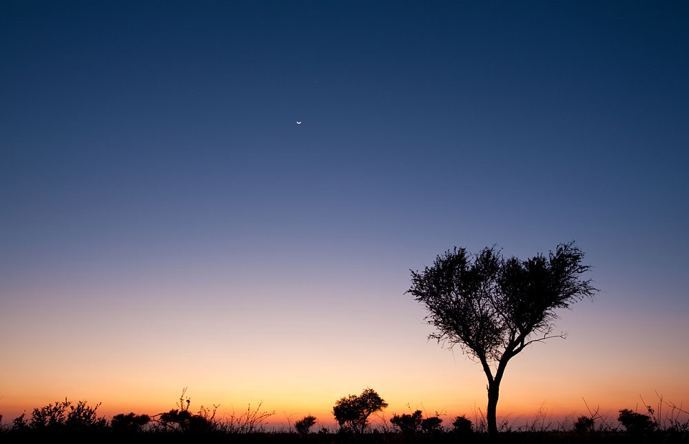 Khutse Game Reserve – Travel Guide, Map & More!