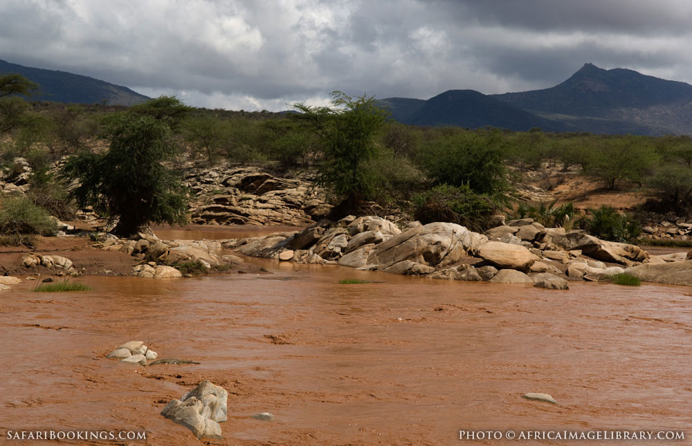 Shaba NR Photos – Images & Pictures