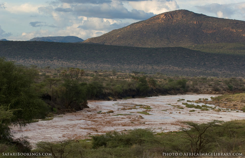 Shaba NR Photos – Images & Pictures
