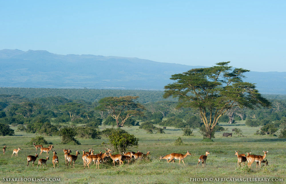 Solio Ranch Photos – Images & Pictures