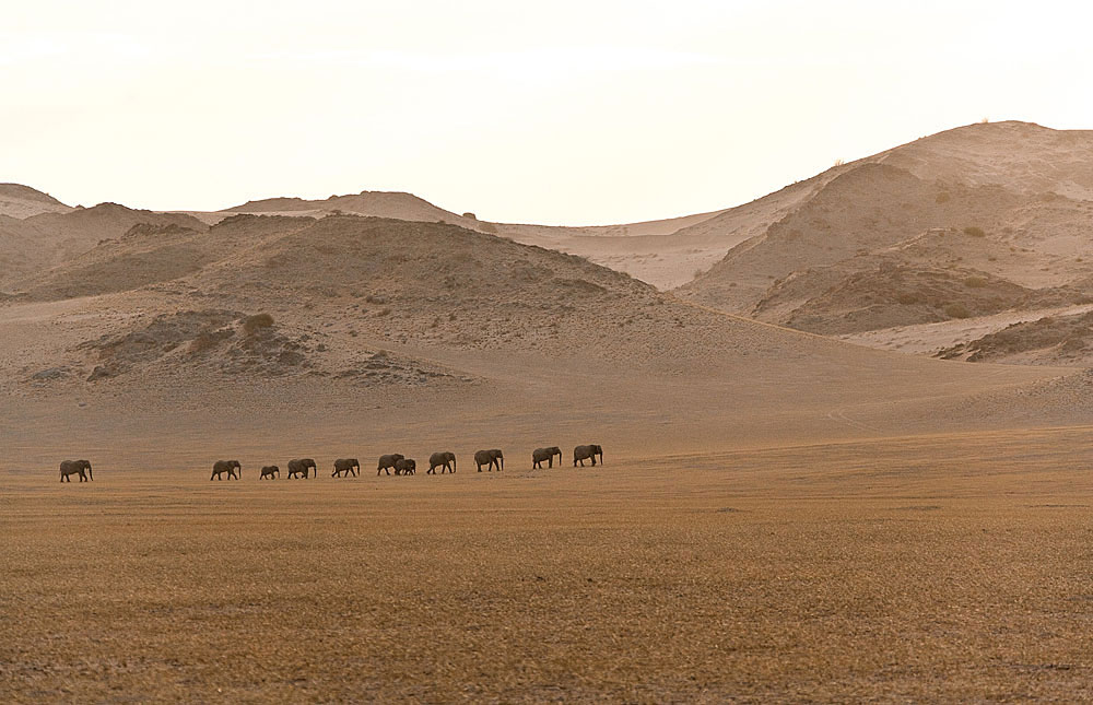 Damaraland Photos – Images & Pictures