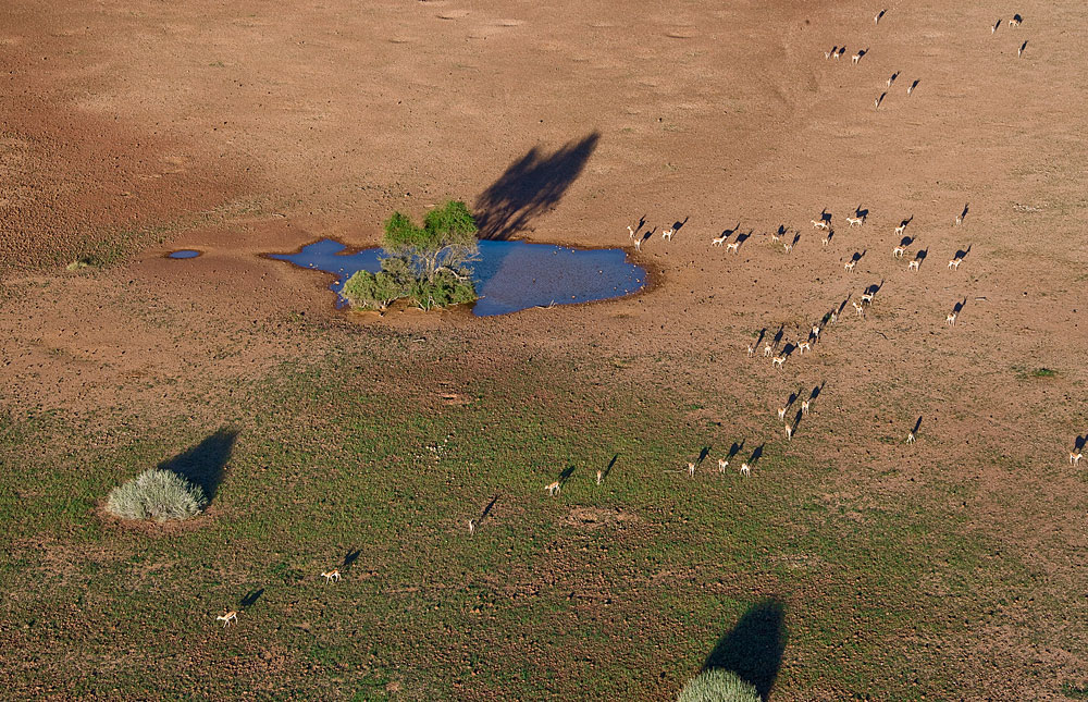 Damaraland Photos – Images & Pictures