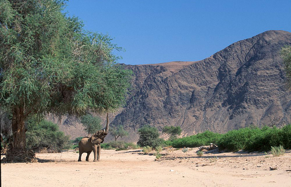 Kaokoland – Travel Guide, Map & More!