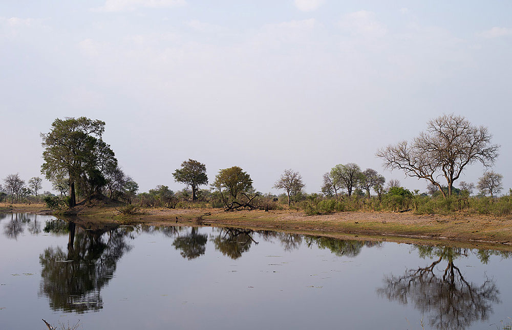 Mudumu NP Photos – Images & Pictures