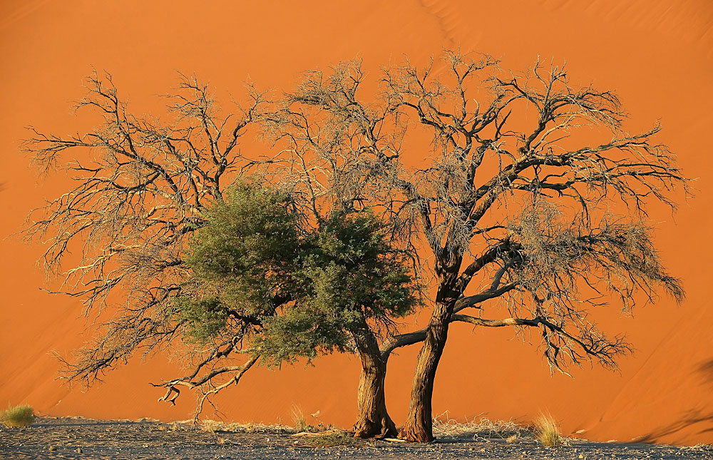 Namibia Photos – Award winning images & pictures!