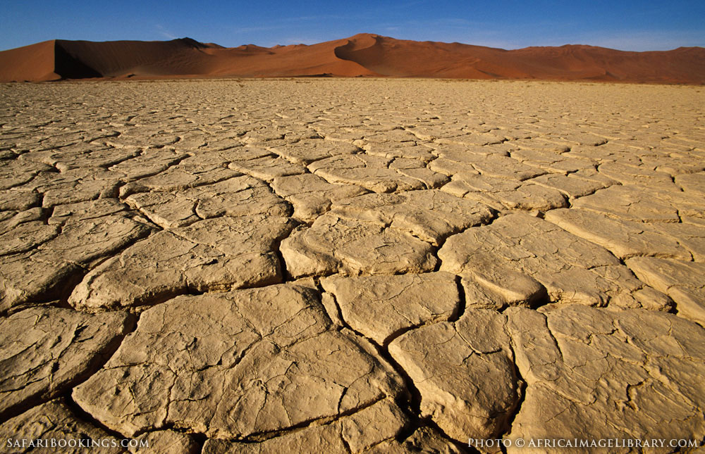 Namibia Dry Season Photos – Award winning images & pictures!