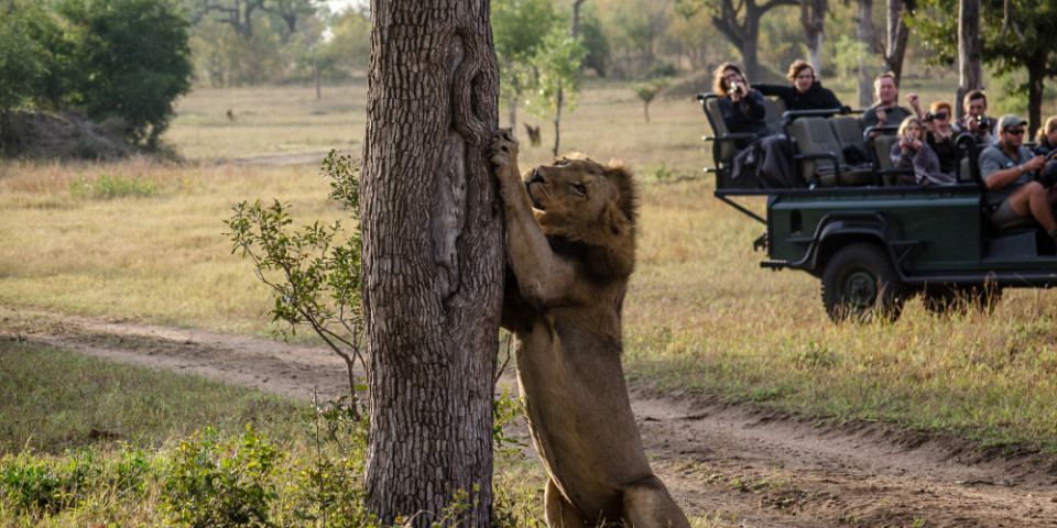 Sabi Sands Map – Detailed Map of Sabi Sand Private Game Reserve