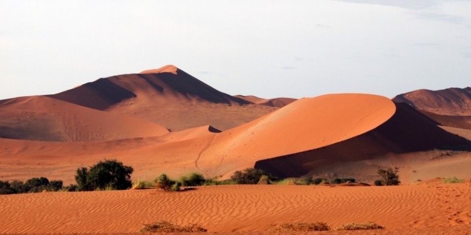 Skeleton Coast Map – Detailed Map of Skeleton Coast National Park