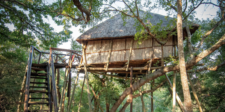 South Africa Safari: 3-Day Tremisana/Treehouse Kruger Park Safari