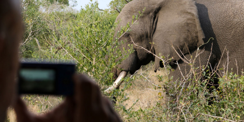 Tembe Elephant Park – Travel Guide, Map & More!