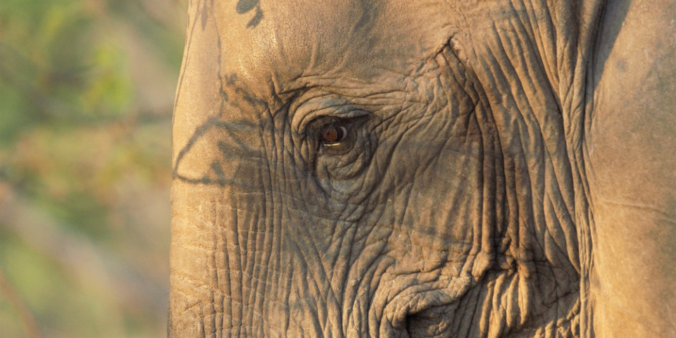 Botswana Weather & Climate (+ Climate Chart)