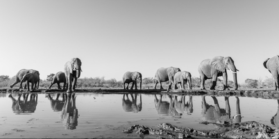 Mashatu Game Reserve – Travel Guide, Map & More!