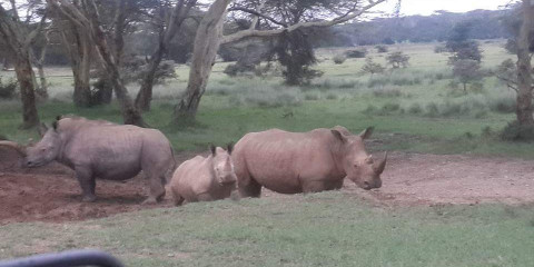 Shaba National Reserve – Travel Guide, Map & More!