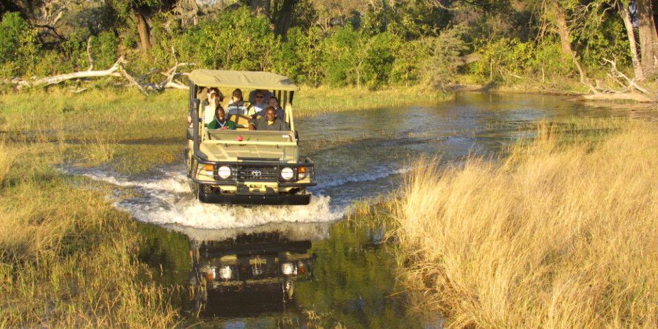 456 Botswana Safari Tours (Offered by 59 Tour Operators)