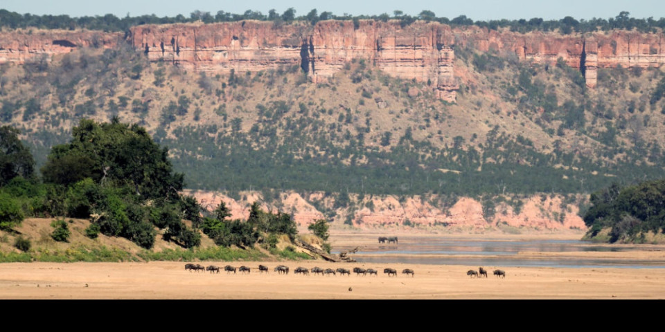 Gonarezhou National Park – Travel Guide, Map & More!