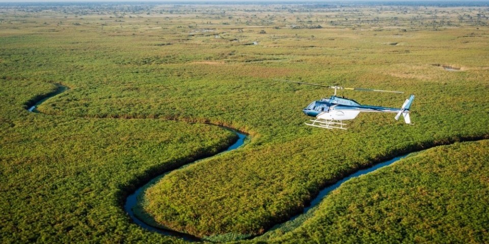 Botswana Safari: 3-Day Okavango Low-Key Fly-in Safari at Oddballs
