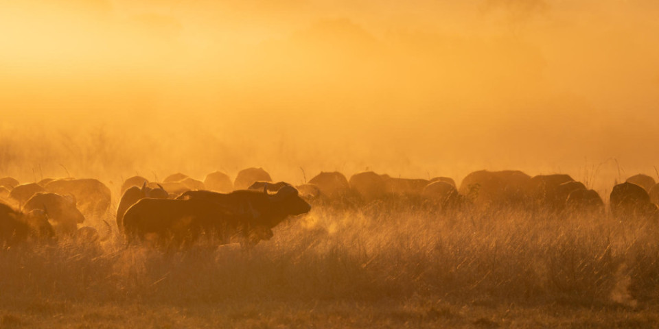 Zimbabwe National Parks & Game Reserves (A-Z List)