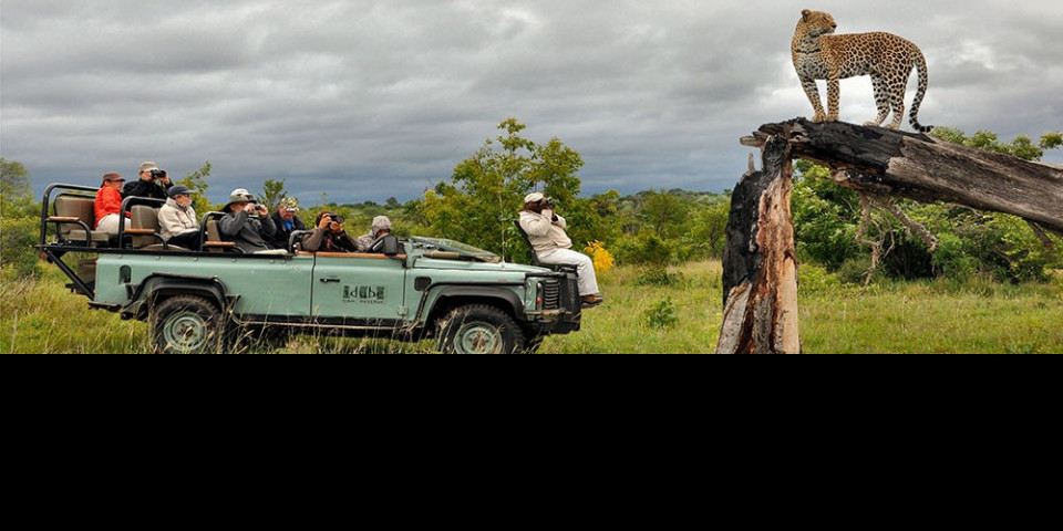 Idube Game Reserve – Best Time to Visit, Wildlife & More!