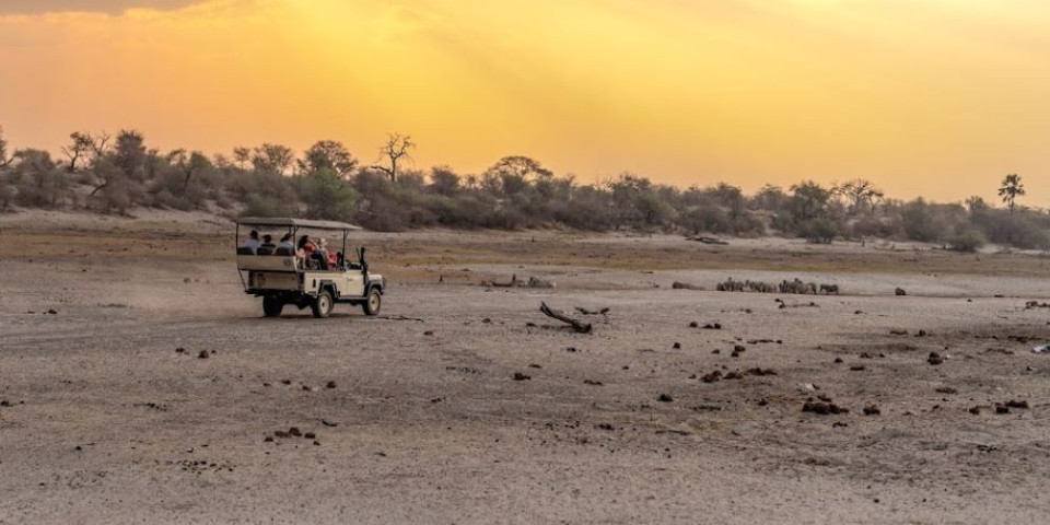 Top 20 Best Botswana Safaris - Compare 560 Tours
