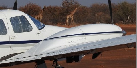 Central Kalahari Game Reserve – Travel Guide, Map & More!