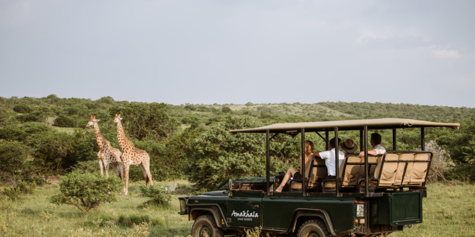 Amakhala Private Game Reserve – Travel Guide, Map & More!