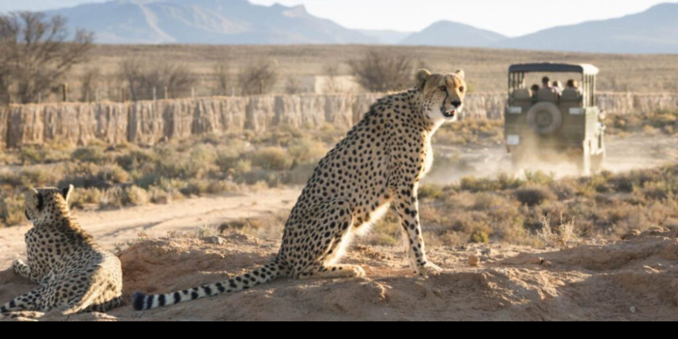 529 Kruger Safari Tours (Offered by 34 Tour Operators)