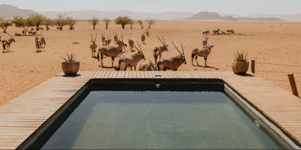 Skeleton Coast Map – Detailed Map of Skeleton Coast National Park