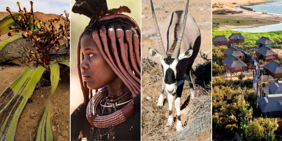 130 Namibia Safari Tours (Offered by 27 Tour Operators)