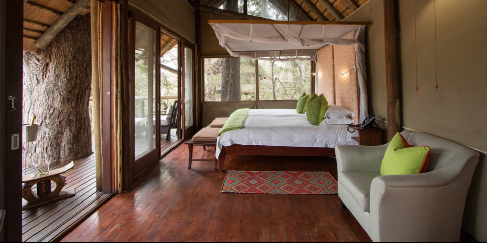 Safari Tours From Cape Town - Compare 170 Packages