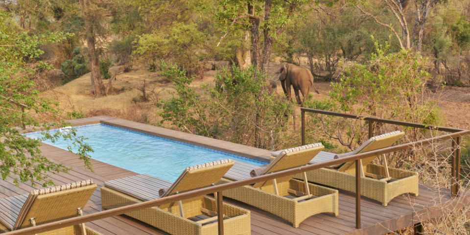 211 Zimbabwe Safari Tours (Offered by 29 Tour Operators)