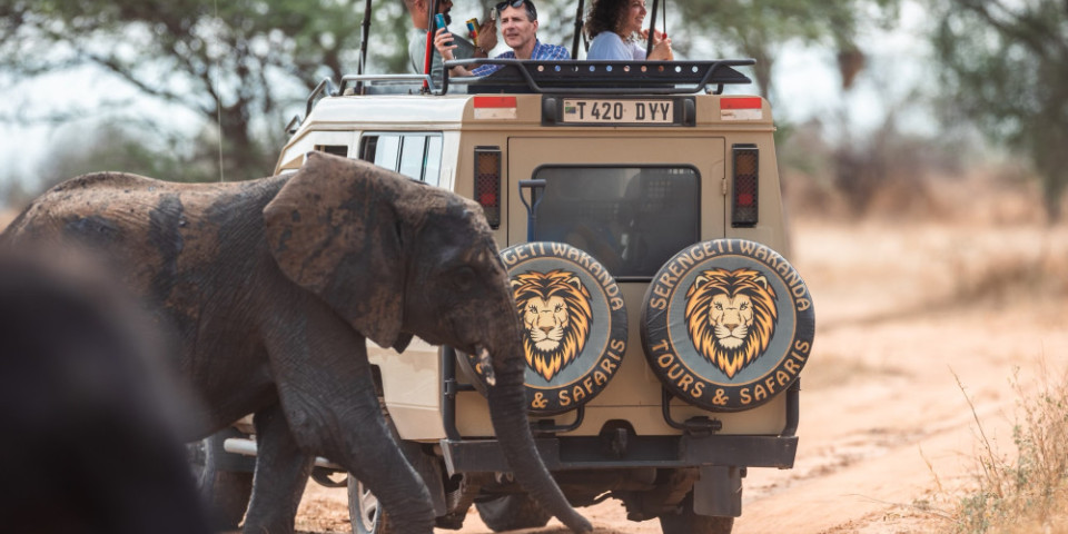 All-inclusive Tanzania Safari - Compare 628 Tour Packages