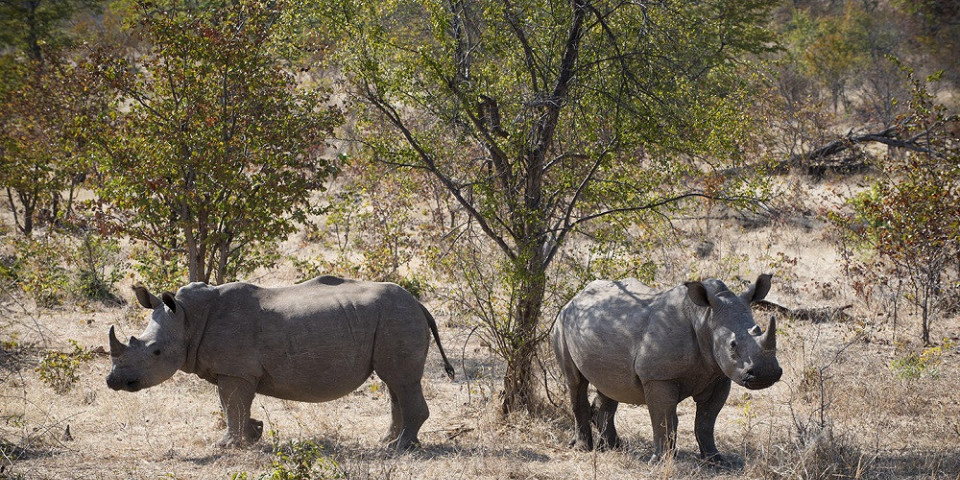 Mosi-Oa-Tunya National Park – Travel Guide, Map & More!